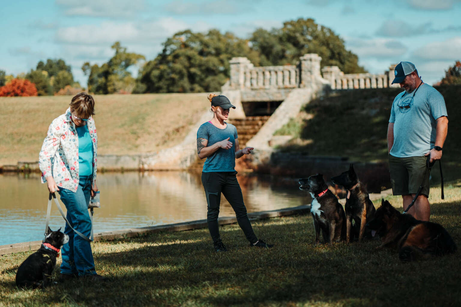 Breeder Temperament Testing - Dawg Boss